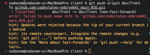Git push Error