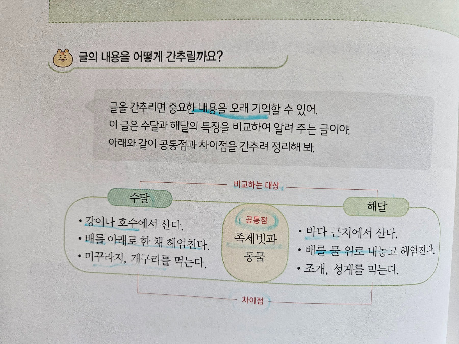 초등 문해력 문제집 추천 한 문장 정리의 힘 기본편 솔직 후기