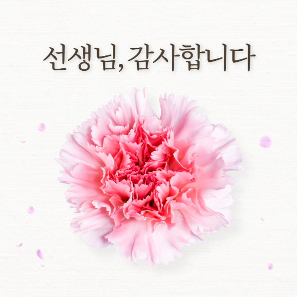 스승의 날 문구 스티커 카톡 이미지 10장 공유