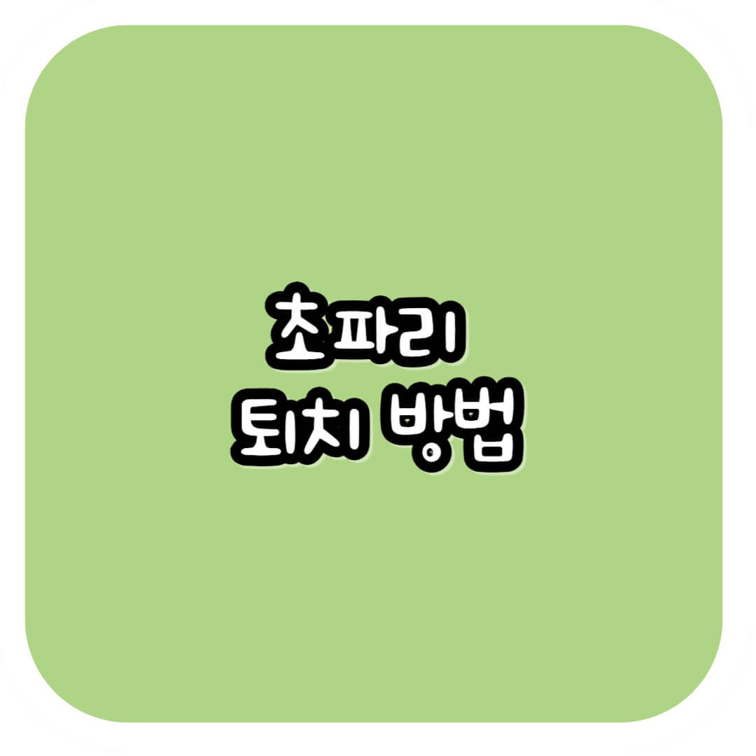 여름철 초파리 생기는 이유와 없애는 방법