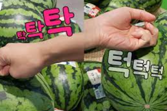 잘 익은 맛있는 설탕수박 고르는 꿀팁 6가지