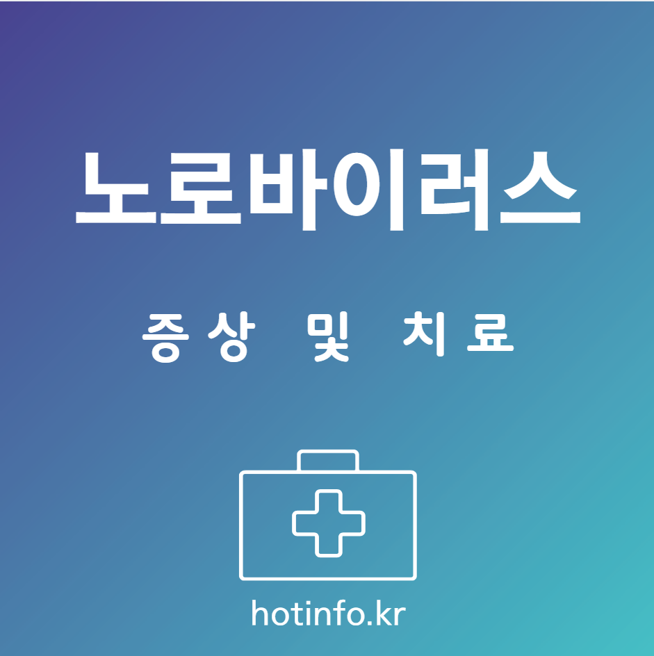 노로바이러스 겨울 식중독 장염 원인과 증상 전염 치료 예방 방법