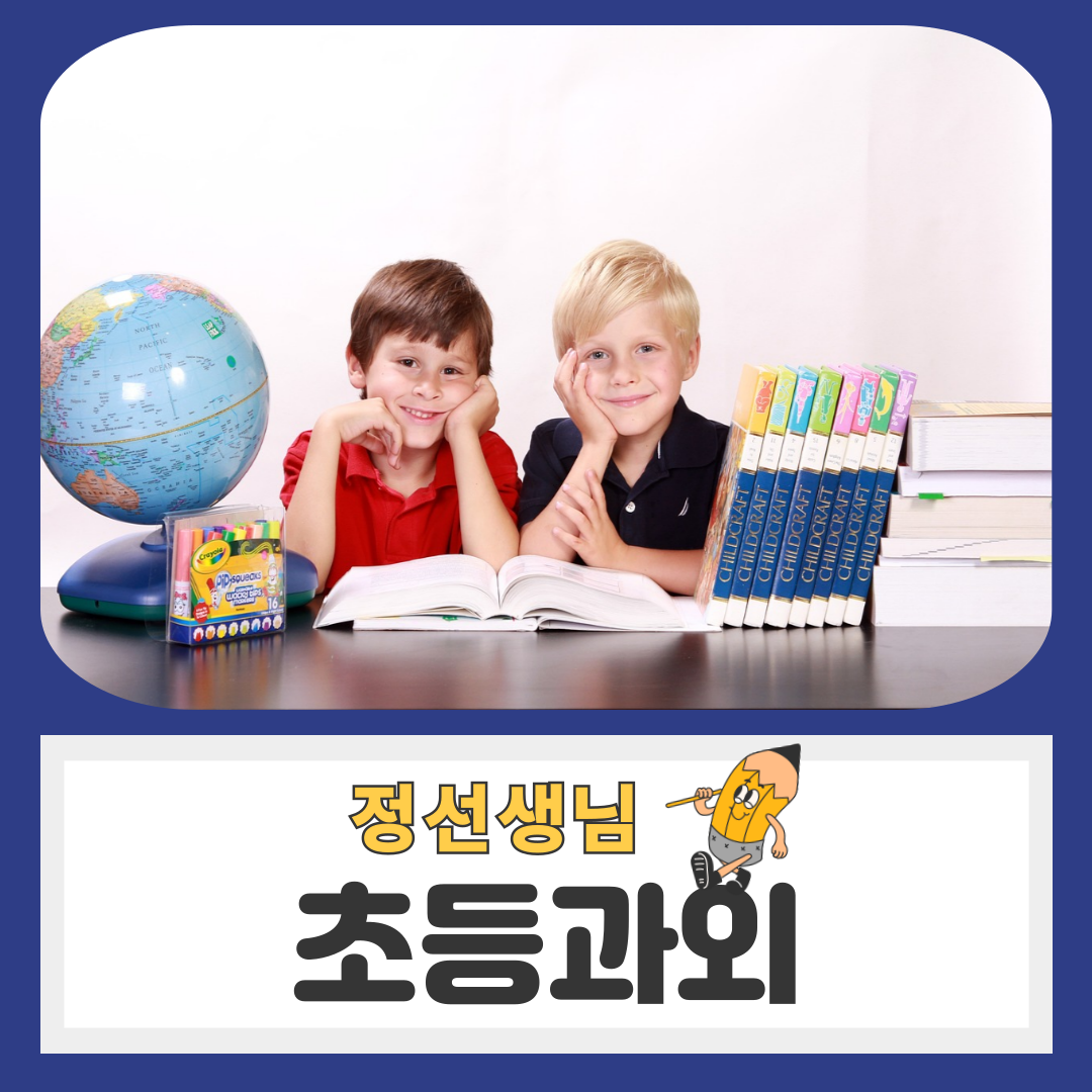 봉담 초등과외 봉담 코딩과외 쉽고 재밌게 초등 국영수 수학 독서 글쓰기 영어 내신 방학 논술 초1 초2 초3 초4 초5 초6