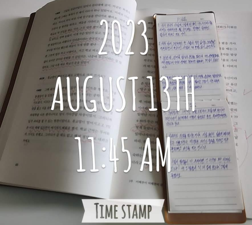발췌 이해찬 회고록 203 08 13 내가 다니던 골목에서 그런 일이 있었던 거야