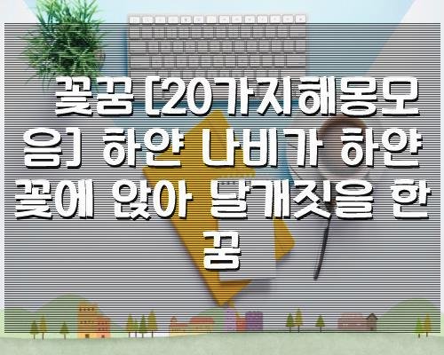 꽃꿈 20가지해몽모음 하얀 나비가 하얀꽃에 앉아 날개짓을 한꿈