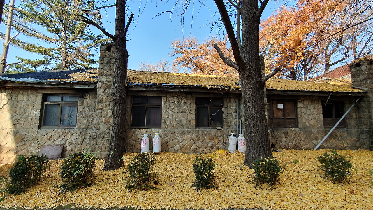 20221118 근대문화유산들이 있는 안양 양명고등학교에 가다