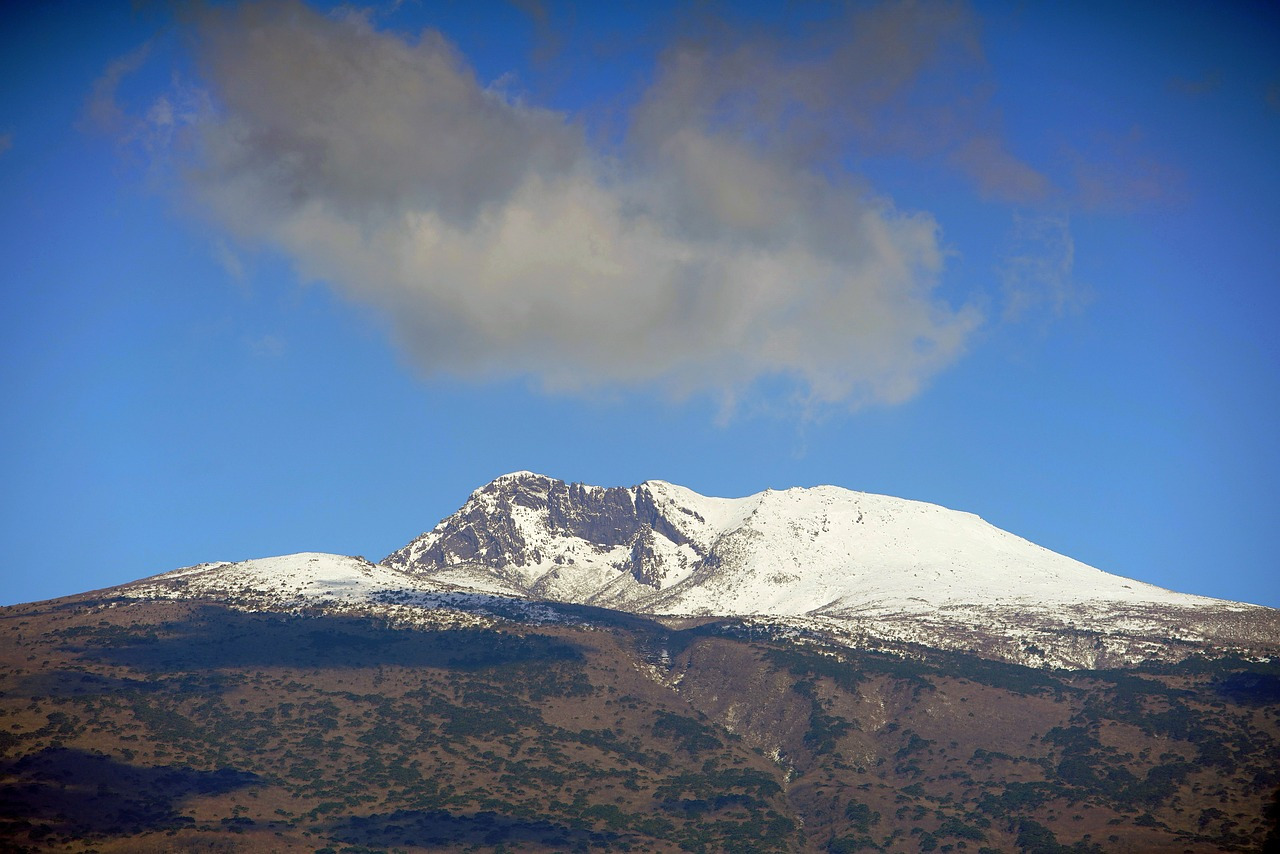 겨울 한라산 등산 추천 코스와 숙소: 설경 속 힐링 여행