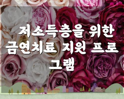 저소득층을 위한 금연치료 지원 프로그램