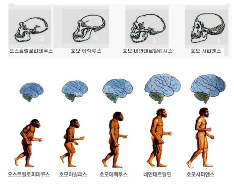 사피엔스의 종말과 변종 인류의 출현” 강의 요약 과학과 신학의 대화 과신대