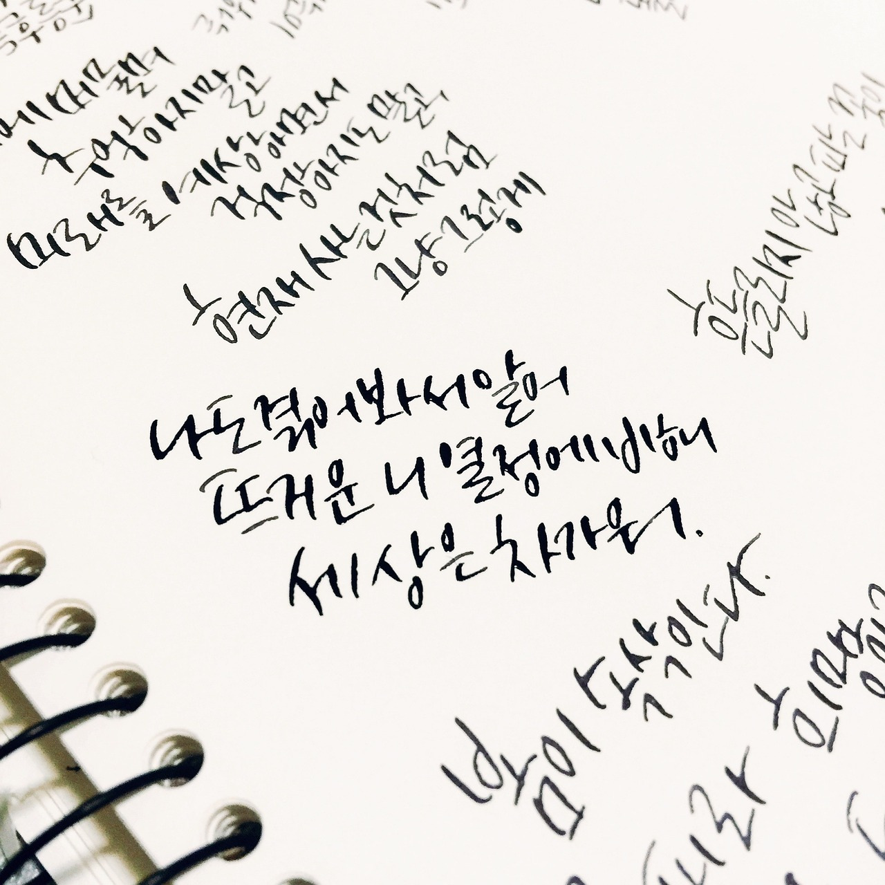스포츠와 관련된 명언으로 마음을 움직이다 영감을 주는 이야기들