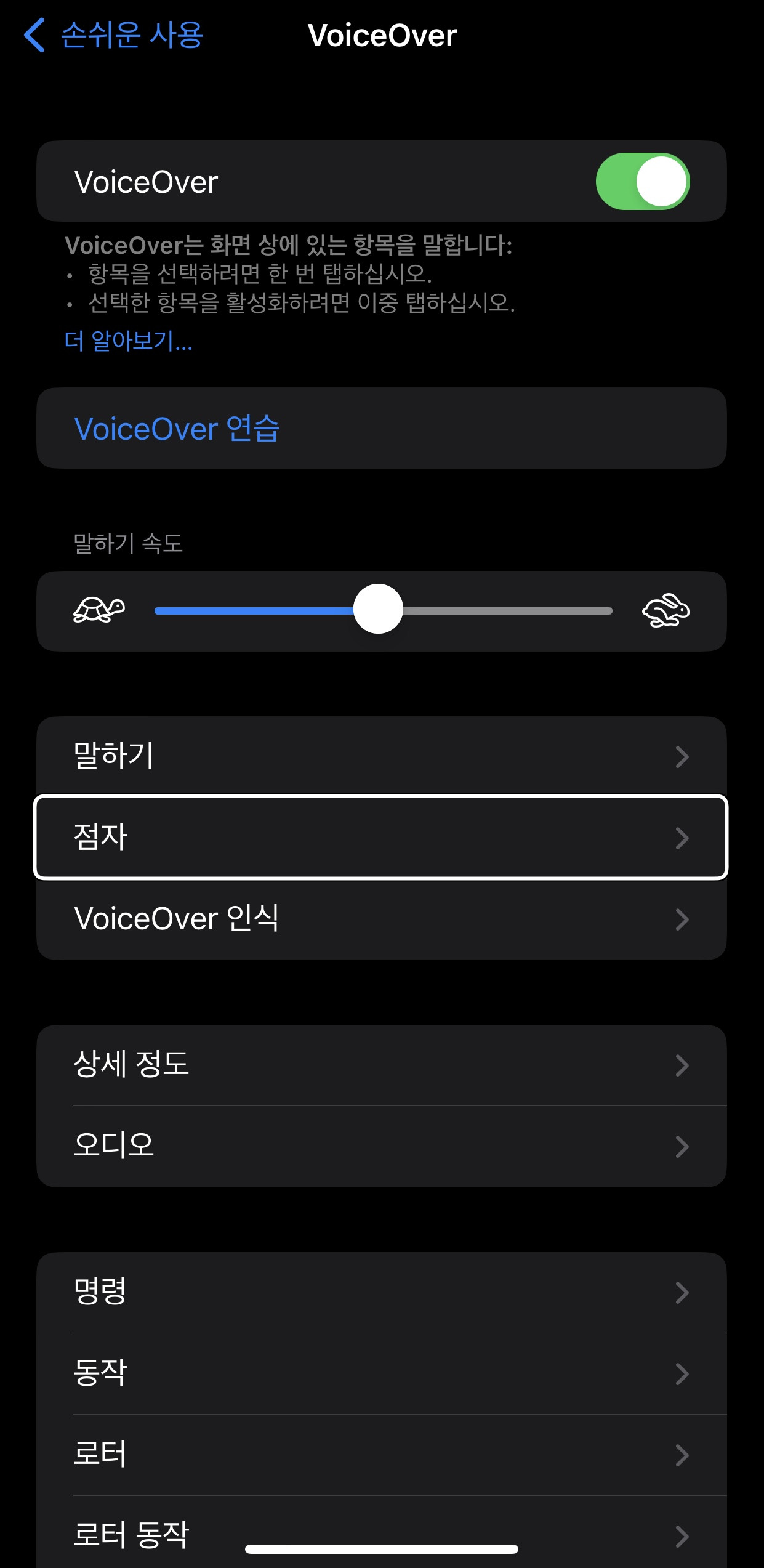 SwiftUI에서 VoiceOver 사용하기 :: iOYES