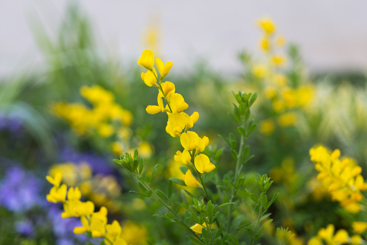 일상 생활 by 자연&사람