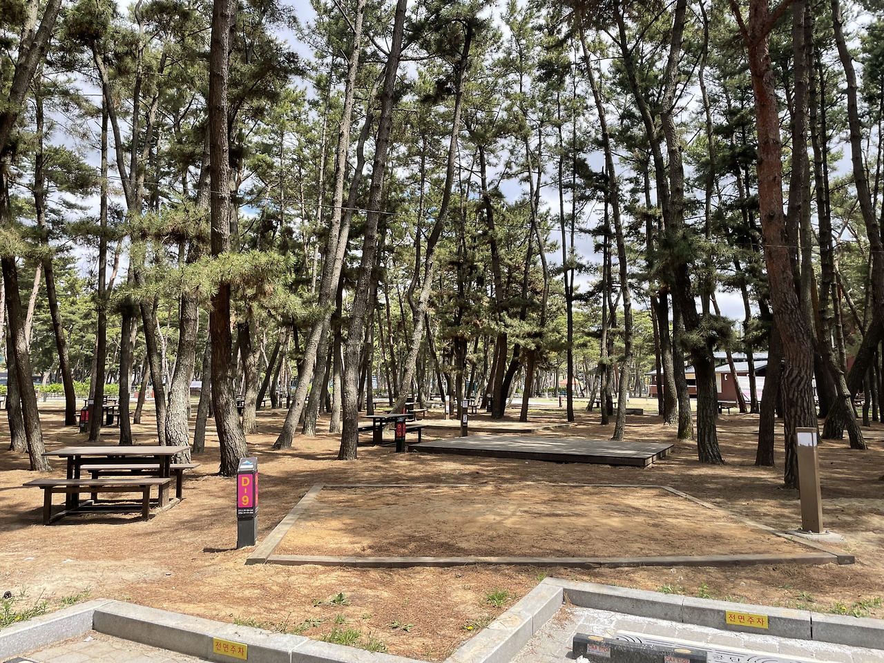국립공원 몽산포 자동차야영장 장단점과 이용 및 예약 방법오토캠핑장