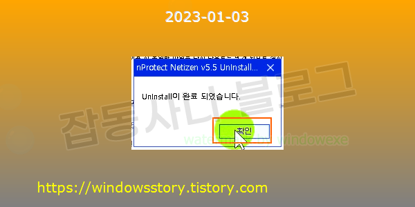 nProtect Netizen 정체가 뭐지? 지워도 상관없나요?