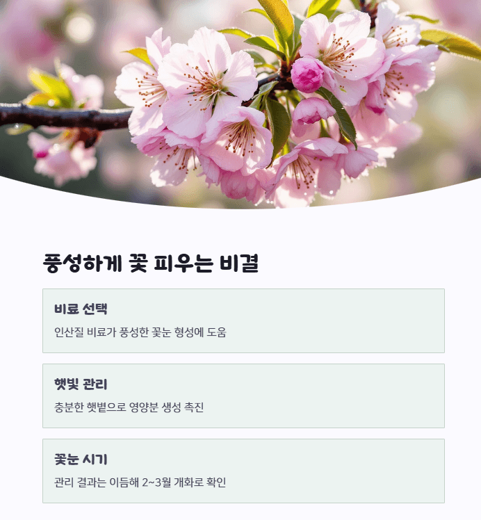 매실나무 키우기 가지치기 및 병충해 방제 시기 꽃 열매 접목 및 묘목 심는 방법
