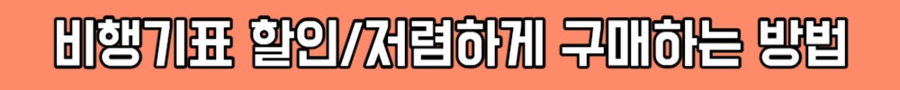 해외여행 꿀팁 비행기표 할인받기 저렴하게 비행기표 예매하는 방법