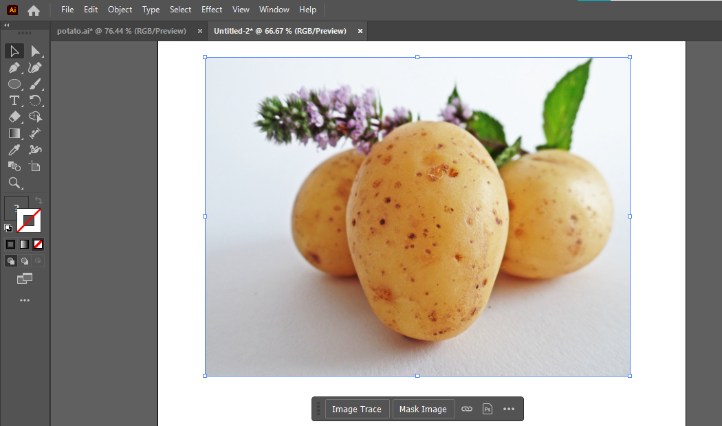 [Illustrator]일러스트 이미지 포함시키기_Embed