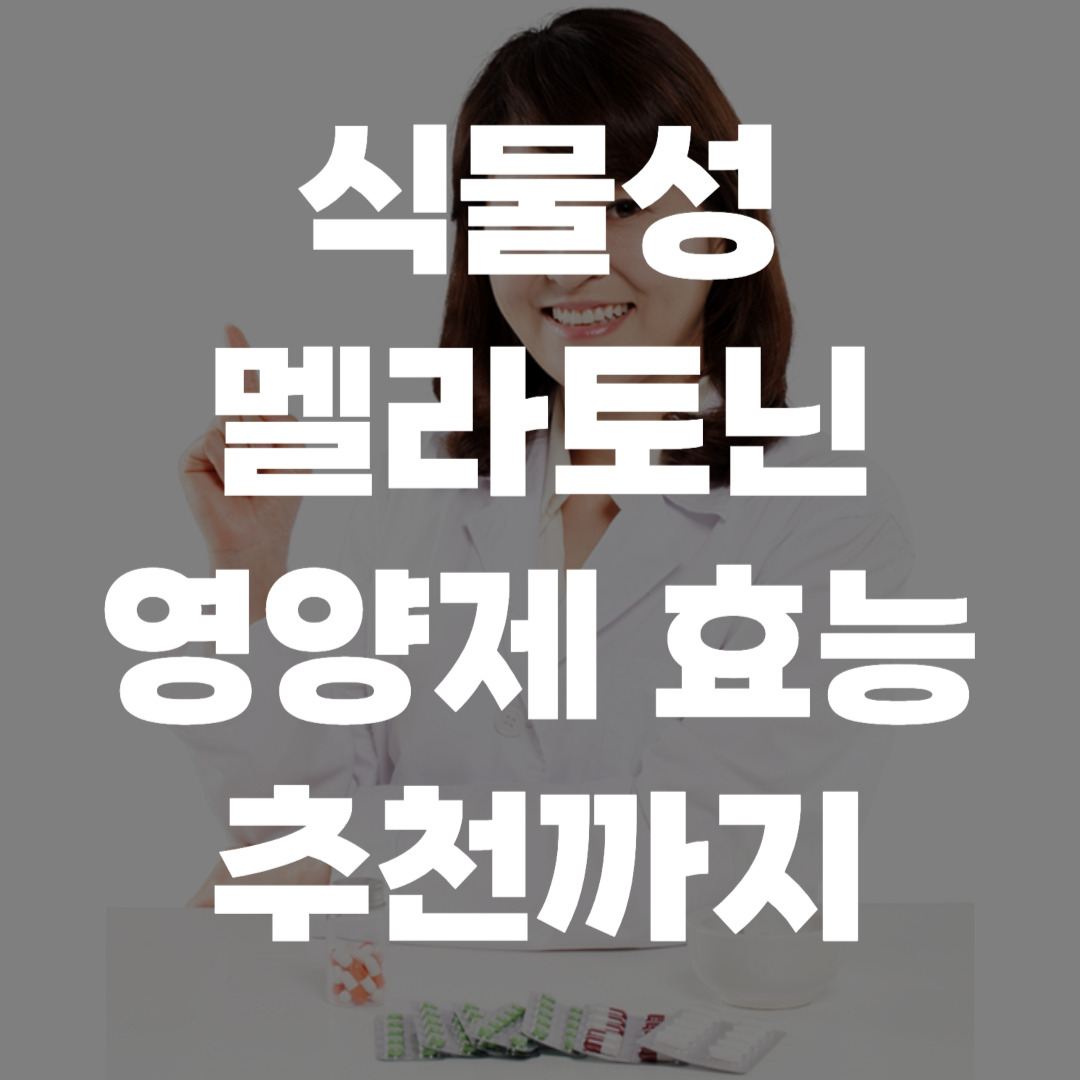 식물성 멜라토닌 영양제 효능 추천까지