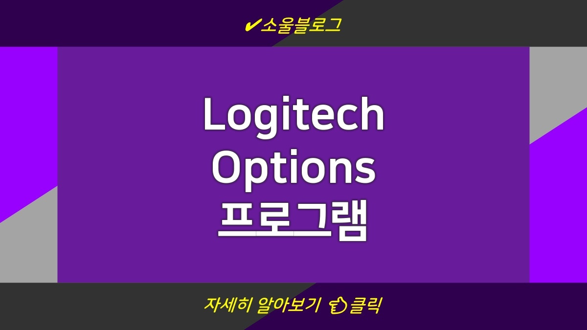 Logitech Options 프로그램 설치 방법과 사용법 | 로지텍 옵션 프로그램 활용 팁 | 어플 꿀팁 정리