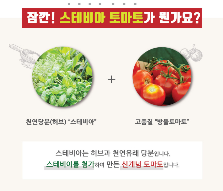 스테비아 토마토 효능 부작용 영양성분 먹는방법 재배방법 칼로리