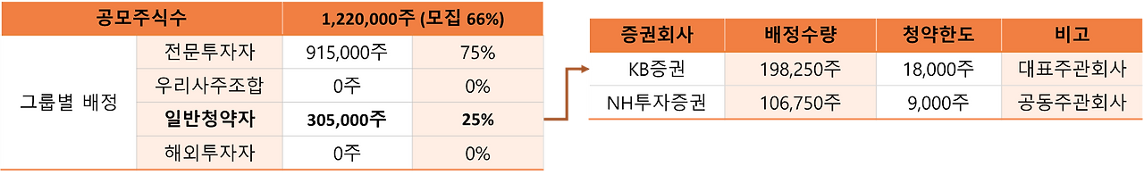 디에스단석 공모주 청약 일정 및 종목 분석 작은공방