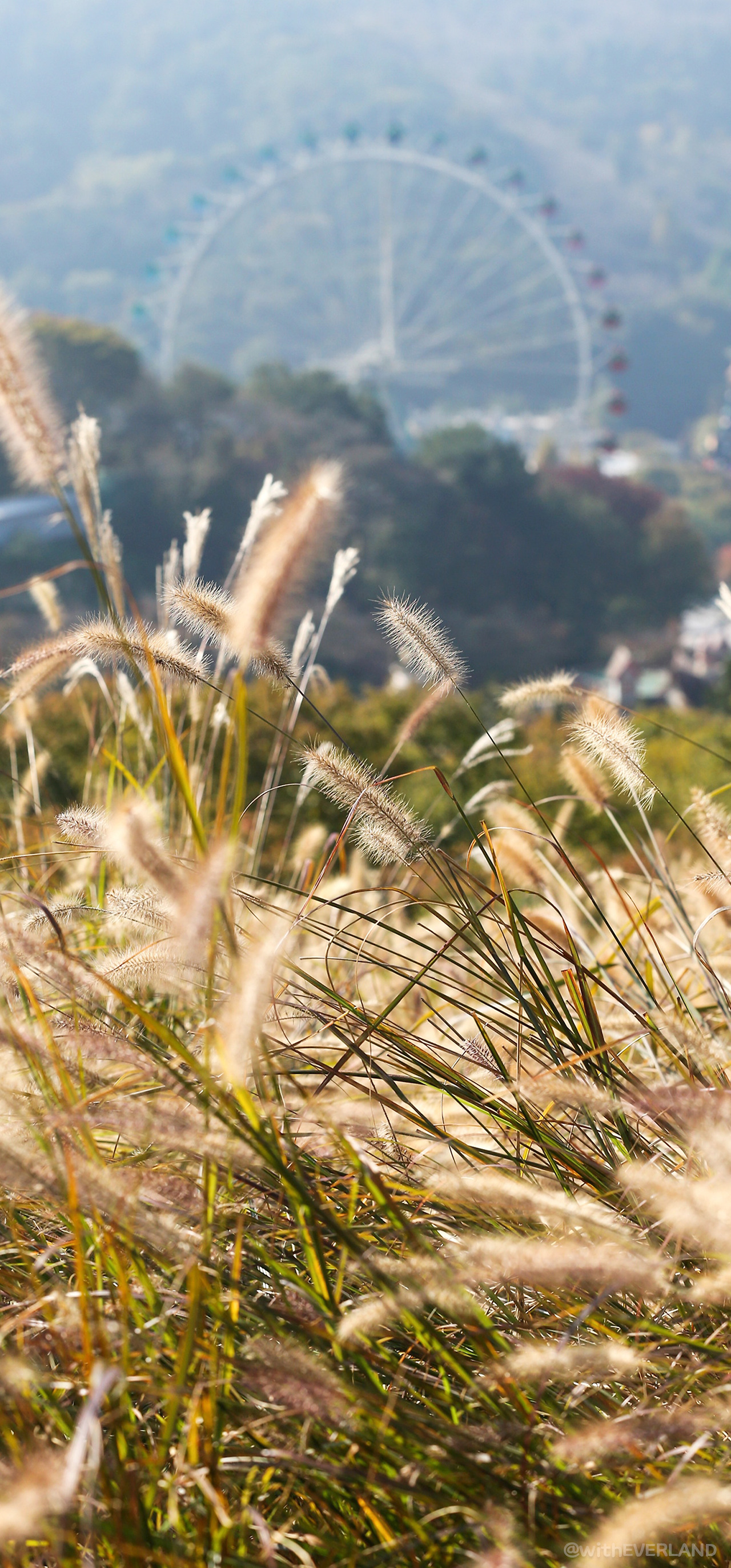 가을 감성🍂 에버랜드 가을 배경화면 콜렉션🎡