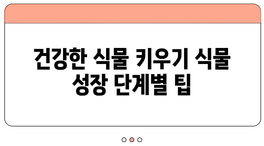 식물의 성장 단계 완벽 이해하기 식물 생장 발아 개화 결실 성장 과정 팁