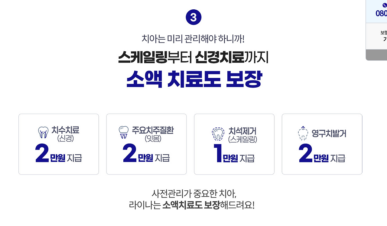 치아보험 순위 Top5 라이나생명 삼성화재 메리츠 Db손해보험 Aia