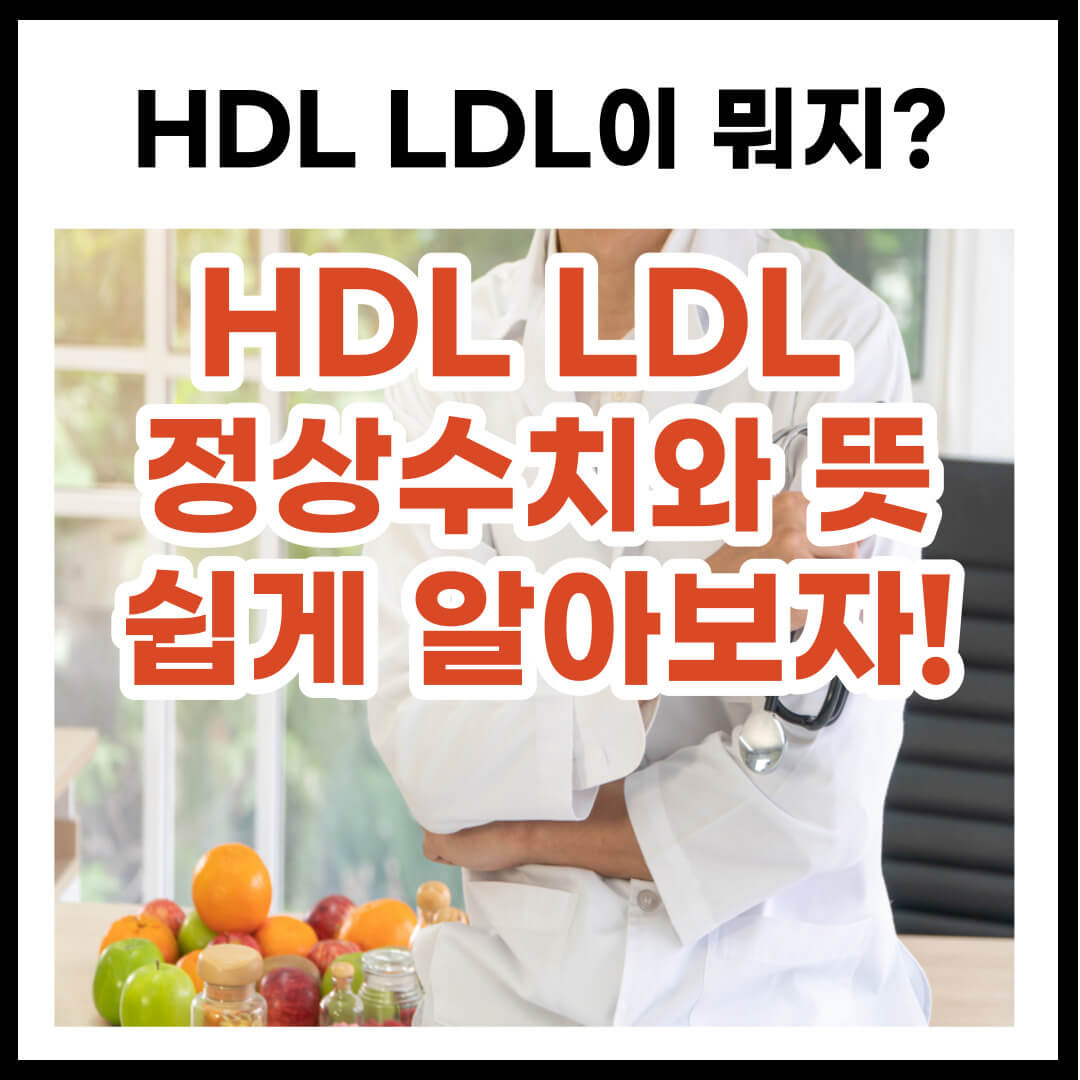 Hdl Ldl 콜레스테롤 정상수치와 뜻 쉽게 알아봐요