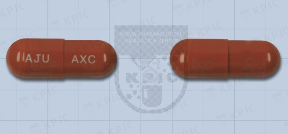 안탁스캡슐 효능 효과 투여방법 부작용 완전 해부하기