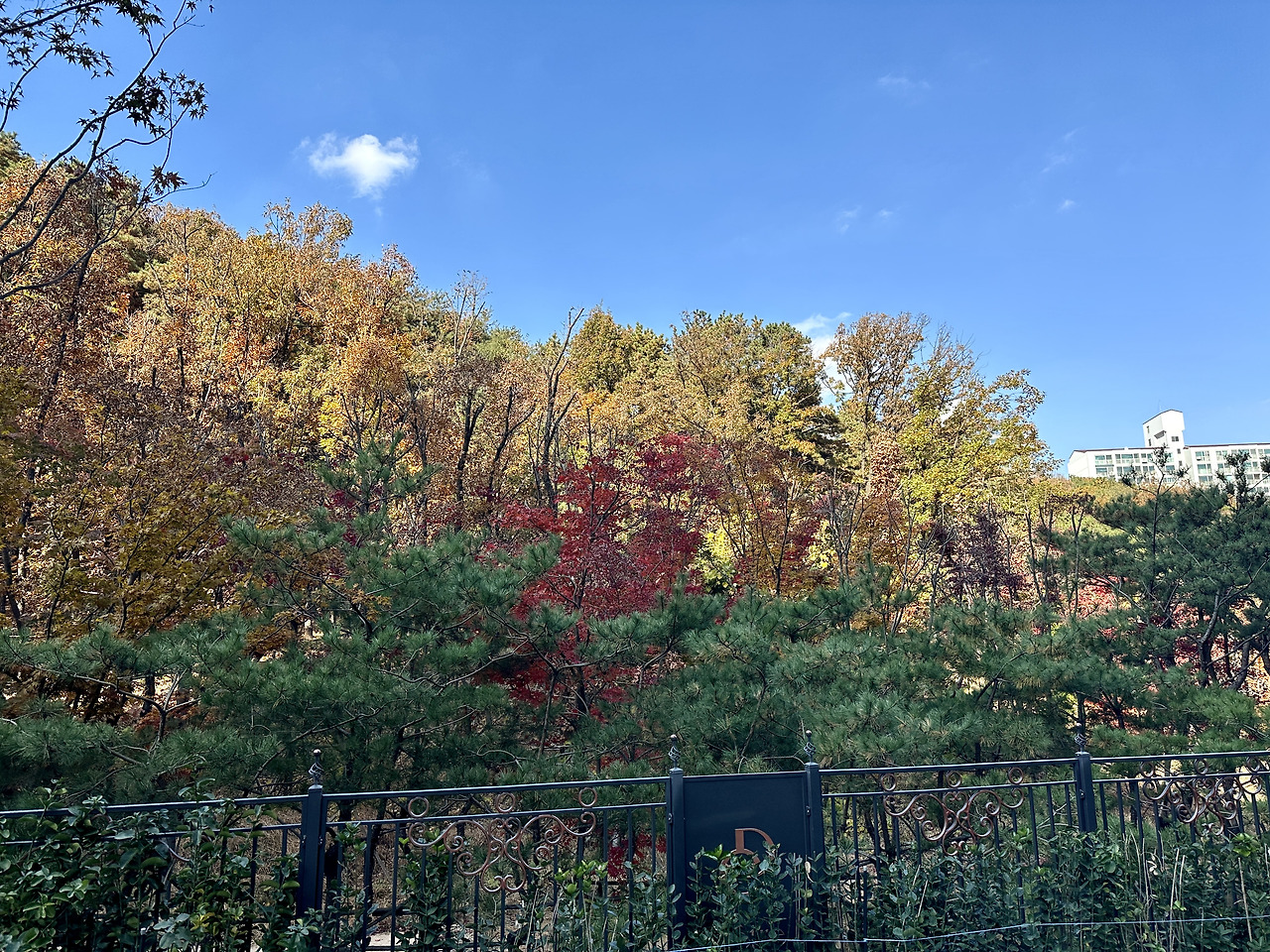 숲세권 검단신도시 디에트르더힐 금정산 산들바람공원 원당동 고려시대 건물터
