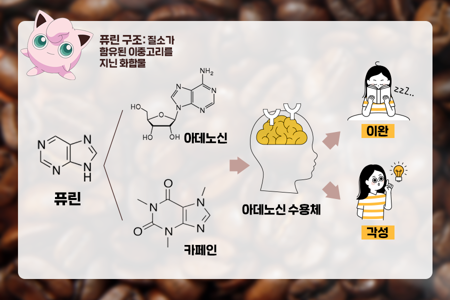 월간 화학 커피 한잔 속 카페인 함량은 어떻게 잴까