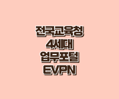 전국 교육청 4세대 업무포털 나이스 원격업무 EVPN 주소 안내