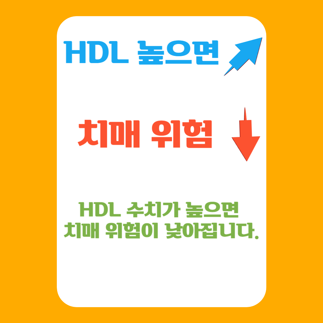 Hdl 콜레스테롤 이란 정상수치 높이는 방법 높이는 음식 알아보기
