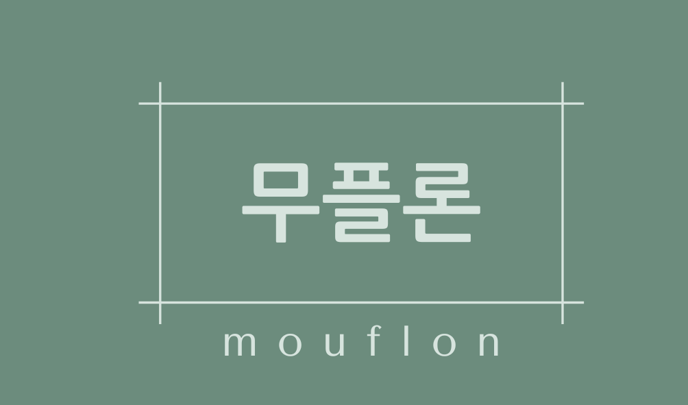 무플론mouflon특징서식지종류천적수명몸무게꿈해몽