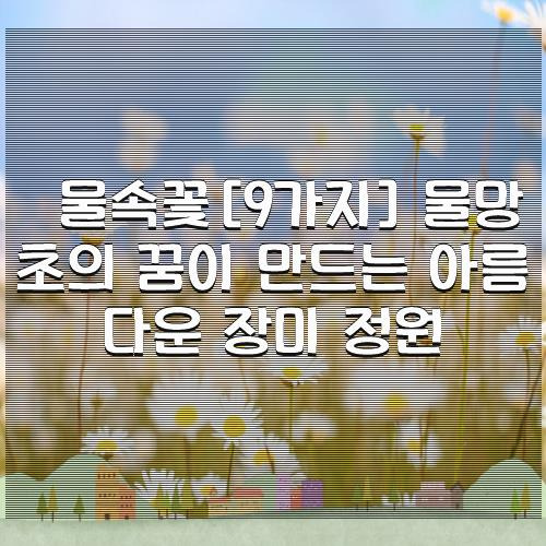 물속꽃 9가지 물망초의 꿈이 만드는 아름다운 장미 정원