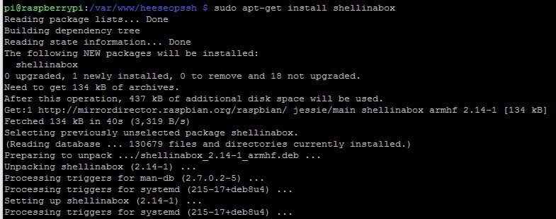 Digital Voice 통신하는 DS5QDR :: 2023-02-23 DV NW : Shell in a Box : 원격 Linux 서버 웹 기반 SSH 터미널