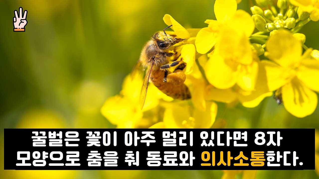 203 장애이해교육더하기신문2022학급이름표그림대회 모서리교실