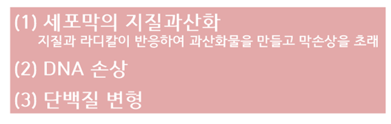 자유 라디칼을 제거하는 방법