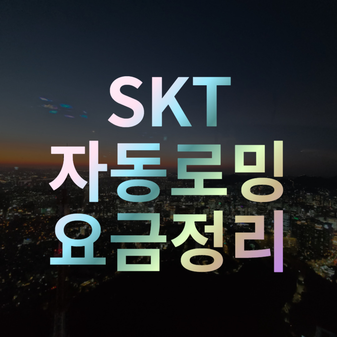 Skt 자동로밍 사용방법 차단방법 요금 및 장단점 T 자동로밍과 바로 요금제 차이