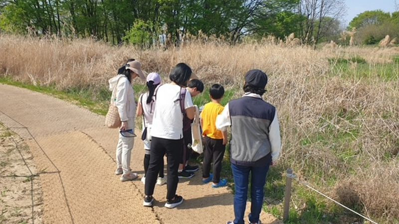 달성습지생태학습관 토요프로그램···봄꽃 종류 알아보기·봄꽃 관찰 등