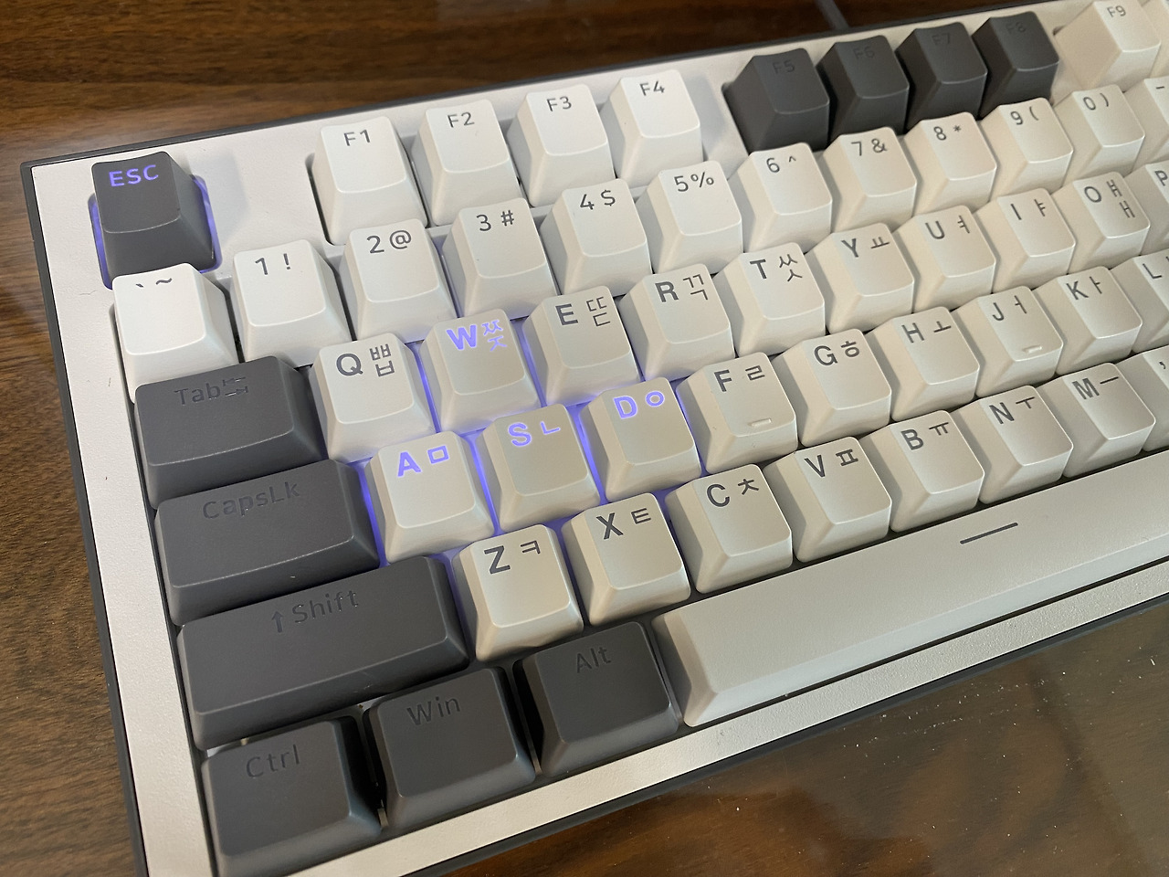 콕스 COX CK01 TKL 기계식 텐키리스 게이밍 키보드 사용 후기