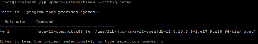 [CentOS7] openJDK 11 설치 및 자바 버전 변경하기