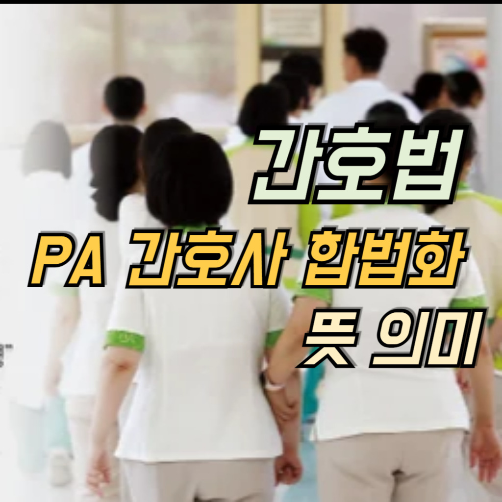 간호법 Pa 간호사 합법화 뜻 의미 왜 의료인들 사이에서도 찬반으로 나누어 질까