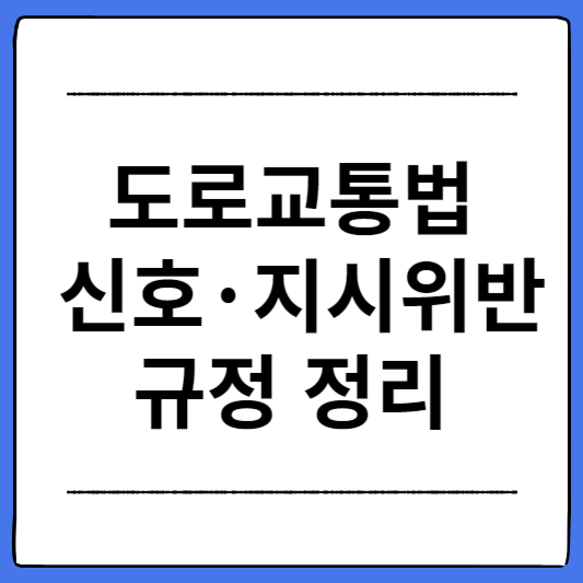 도로교통법 신호위반 지시위반 과태료 범칙금 벌점 규정 정리