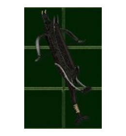 디아블로2 악마의 기계 추코누 데몬 머신 Demon-Machine