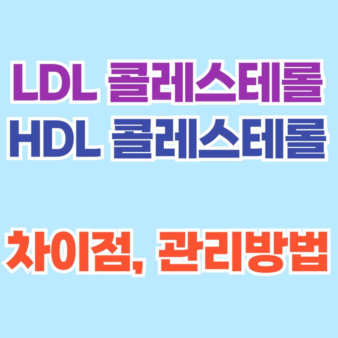 Ldl 콜레스테롤과 Hdl 콜레스테롤 차이점과 관리방법 수저혁명