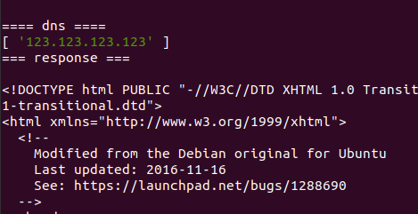 SSRF bypass using DNS Rebinding
