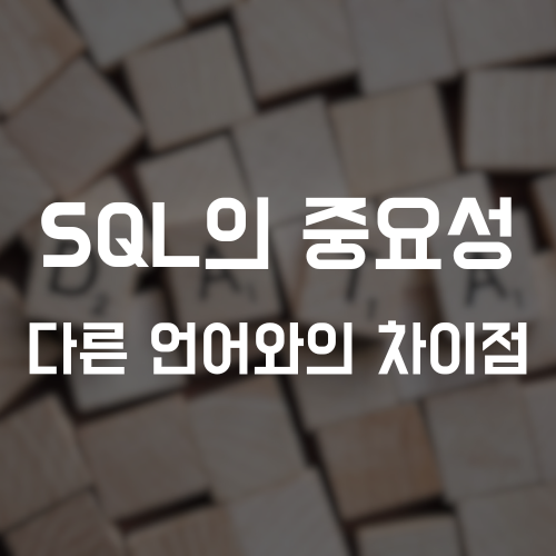 Sql의 중요성 다른 언어들간의 차이점 파악하기