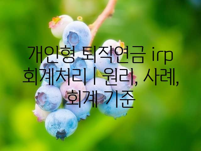 개인형 퇴직연금 Irp 회계처리 원리 사례 회계 기준
